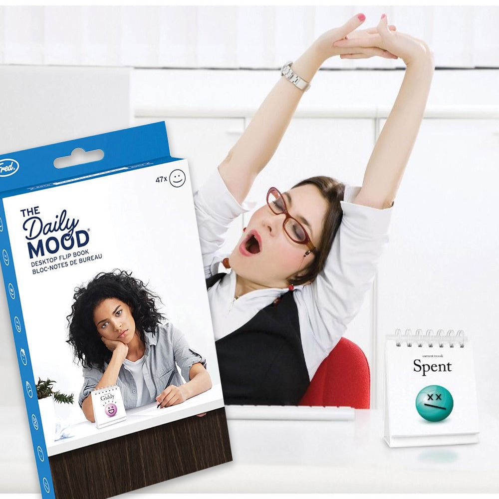 Daily Mood Desktop Flip Book – RAPT ONLINE