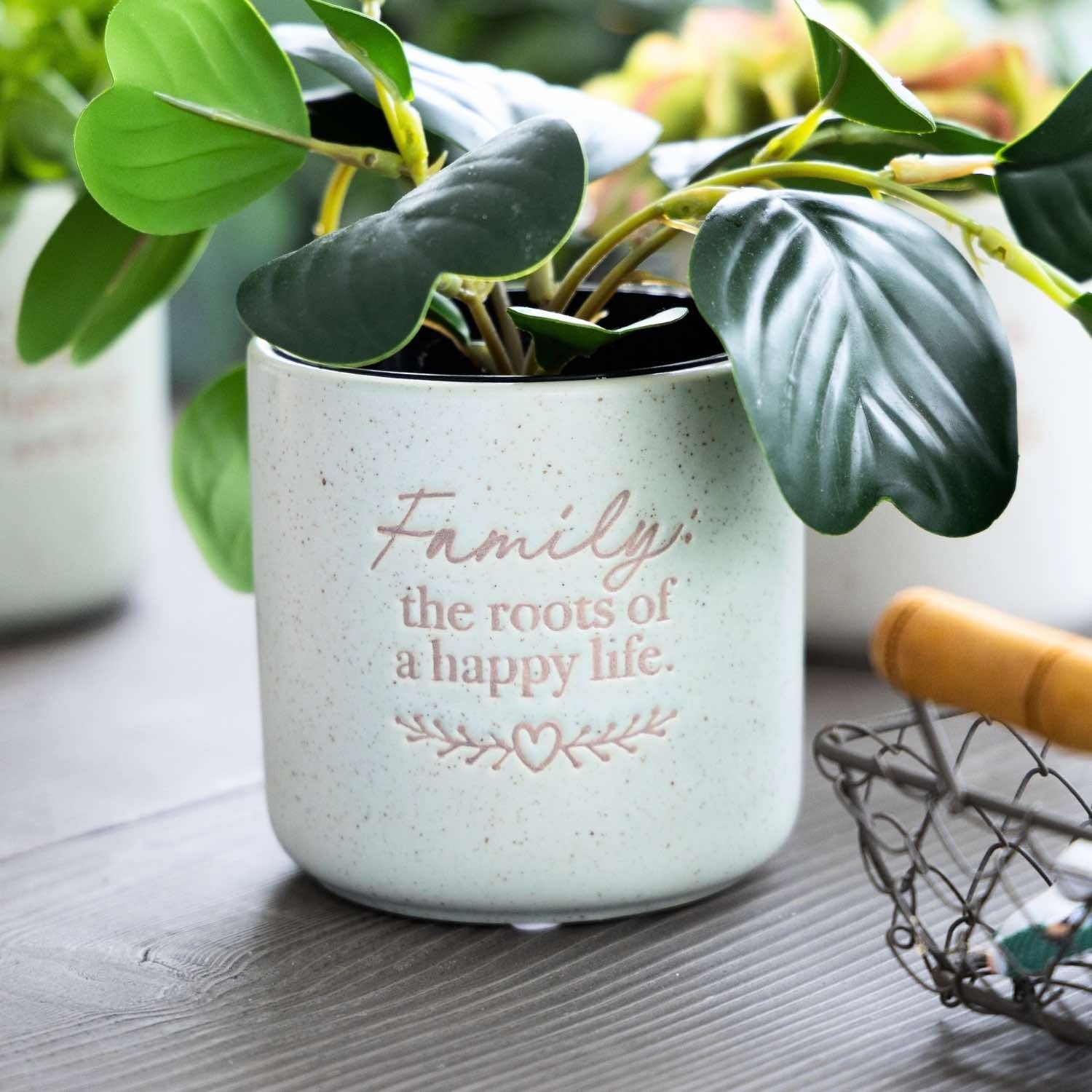Family Quote Positive Plant Pot – RAPT ONLINE